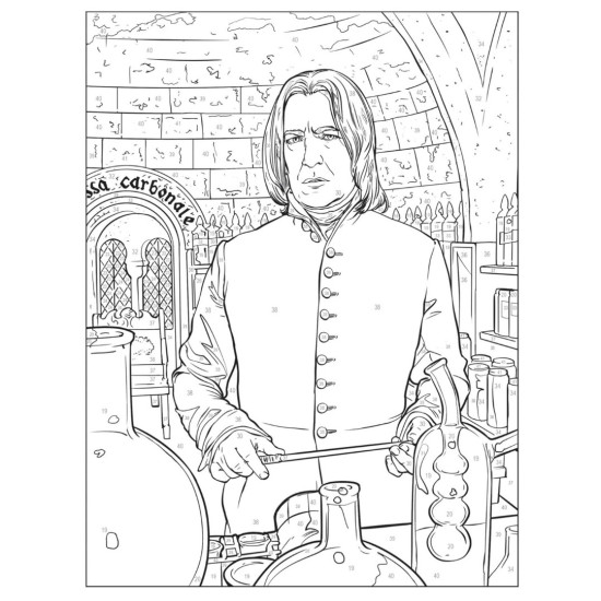 Harry Potter Color by Number | Booktrading.bg