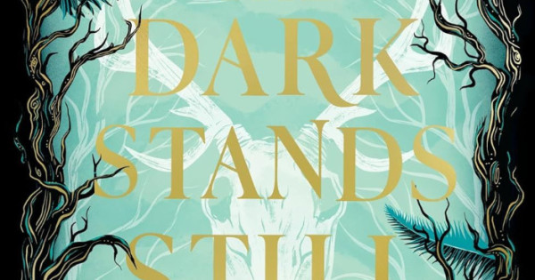 Where the Dark Stands Still | Booktrading.bg